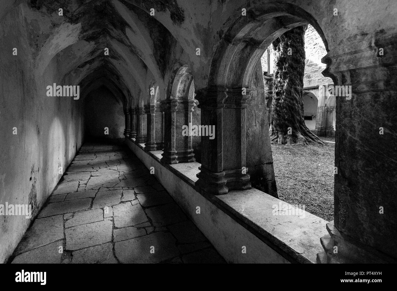 Muckross Abbey, the ruins of an old Irish monastery with cloisters and ...