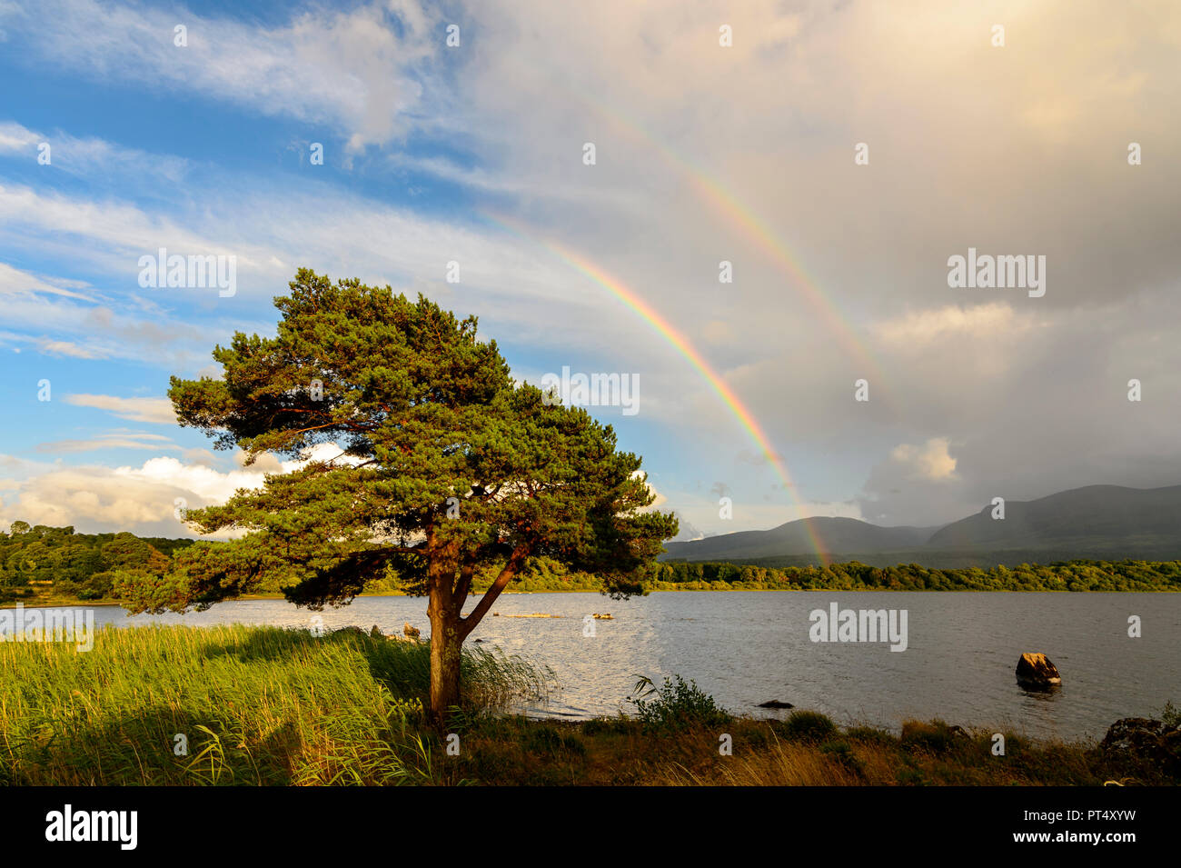 Killarney national park hi-res stock photography and images - Alamy