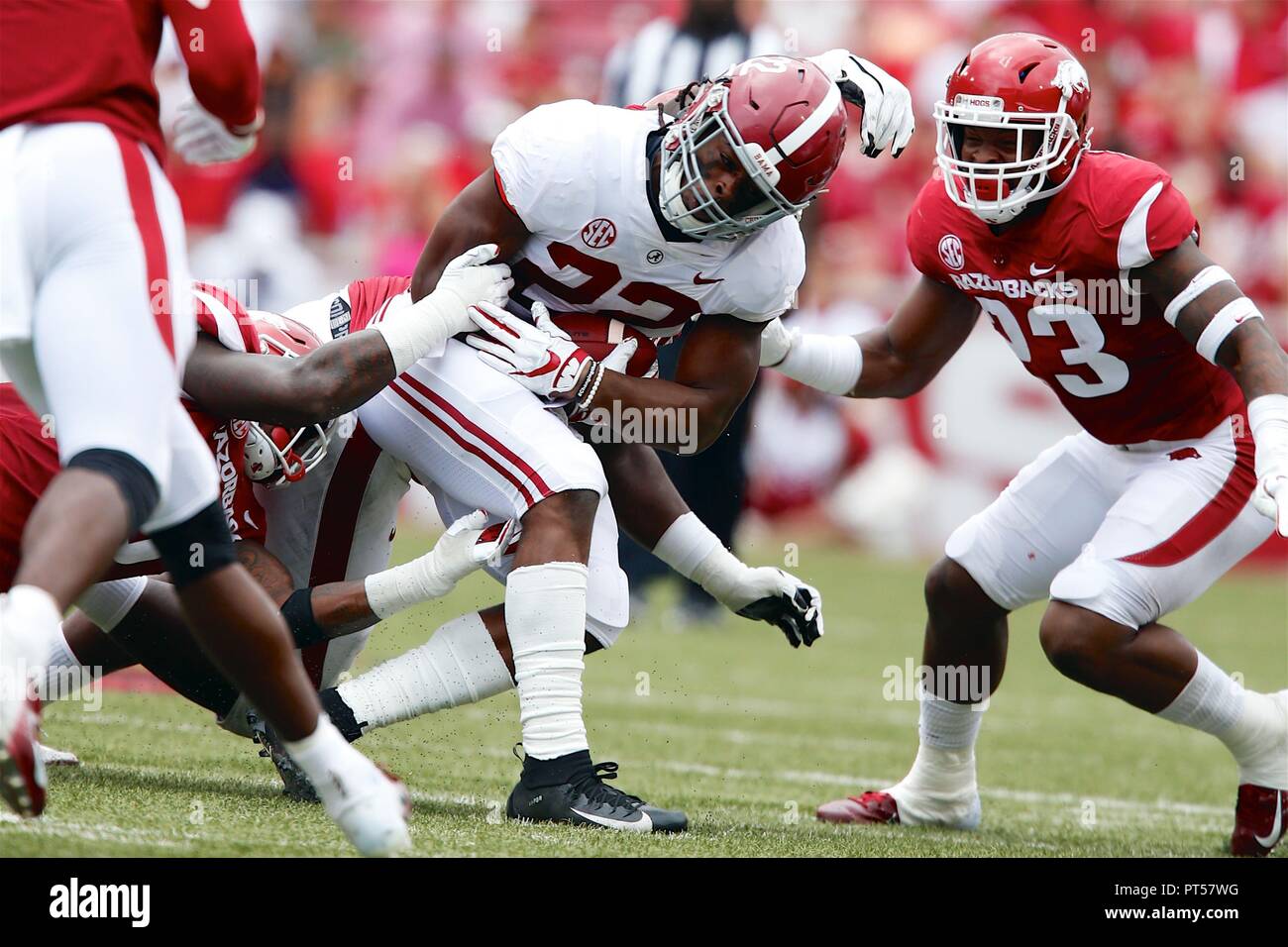 Dre greenlaw hi-res stock photography and images - Alamy