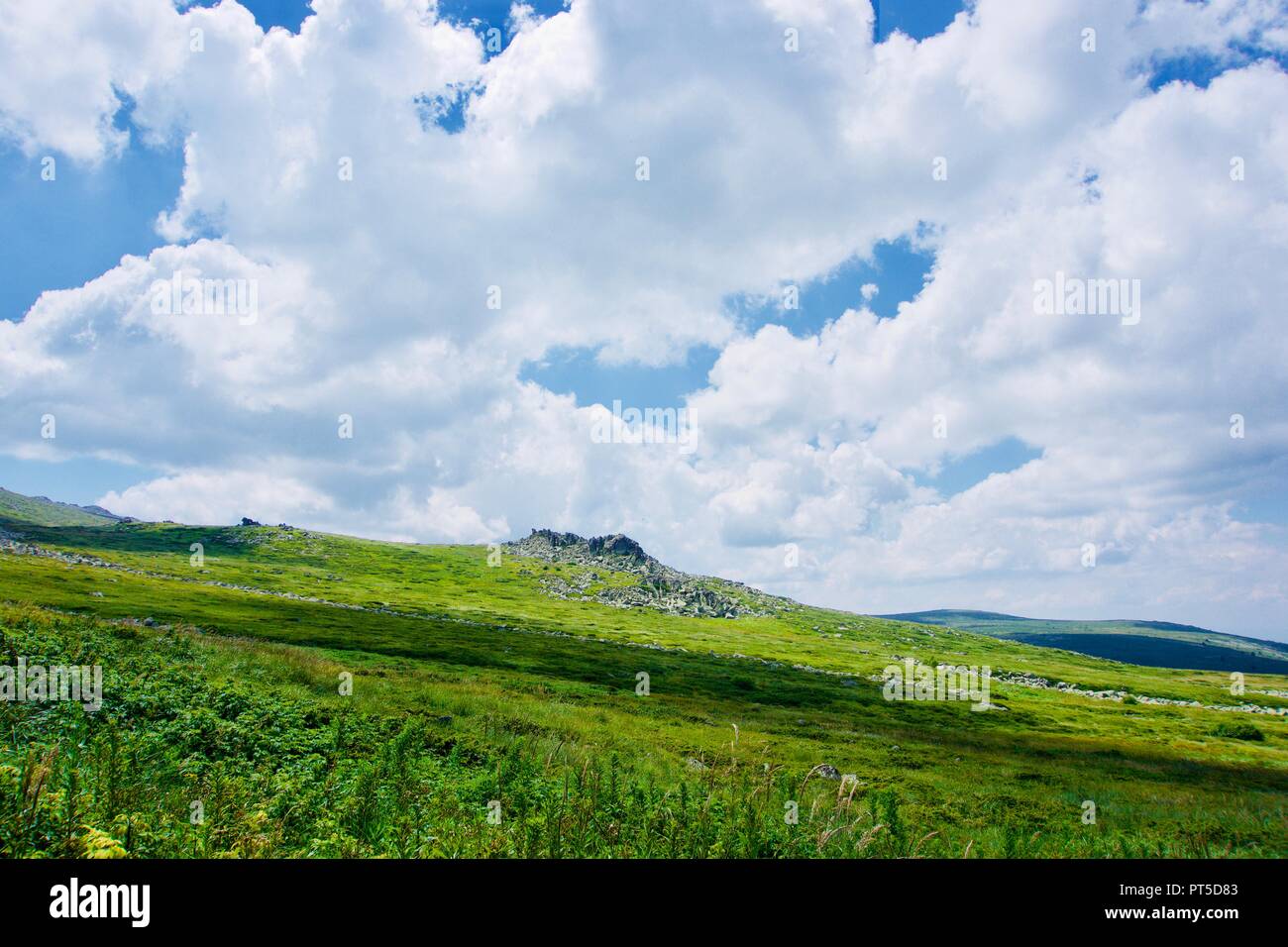 Vitosha mountain - Sofia, Bulgaria Stock Photo - Alamy