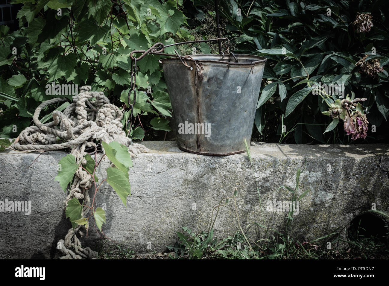 Rope with zinc bucket against the background of the vineyard in the ...