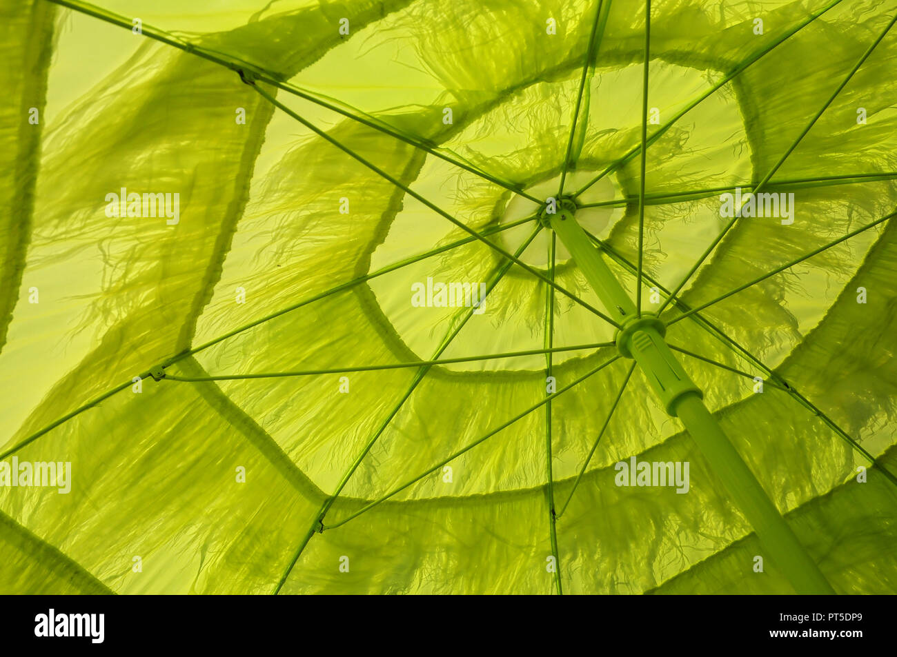 Light shining through feathered sun umbrella creating geometric ...