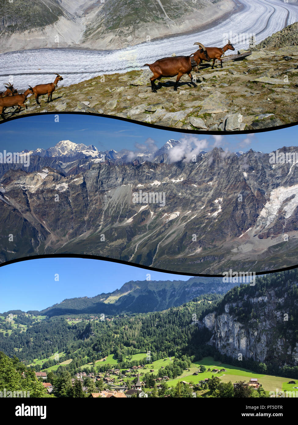 Collage of tourist photos of the Switzerland Stock Photo - Alamy