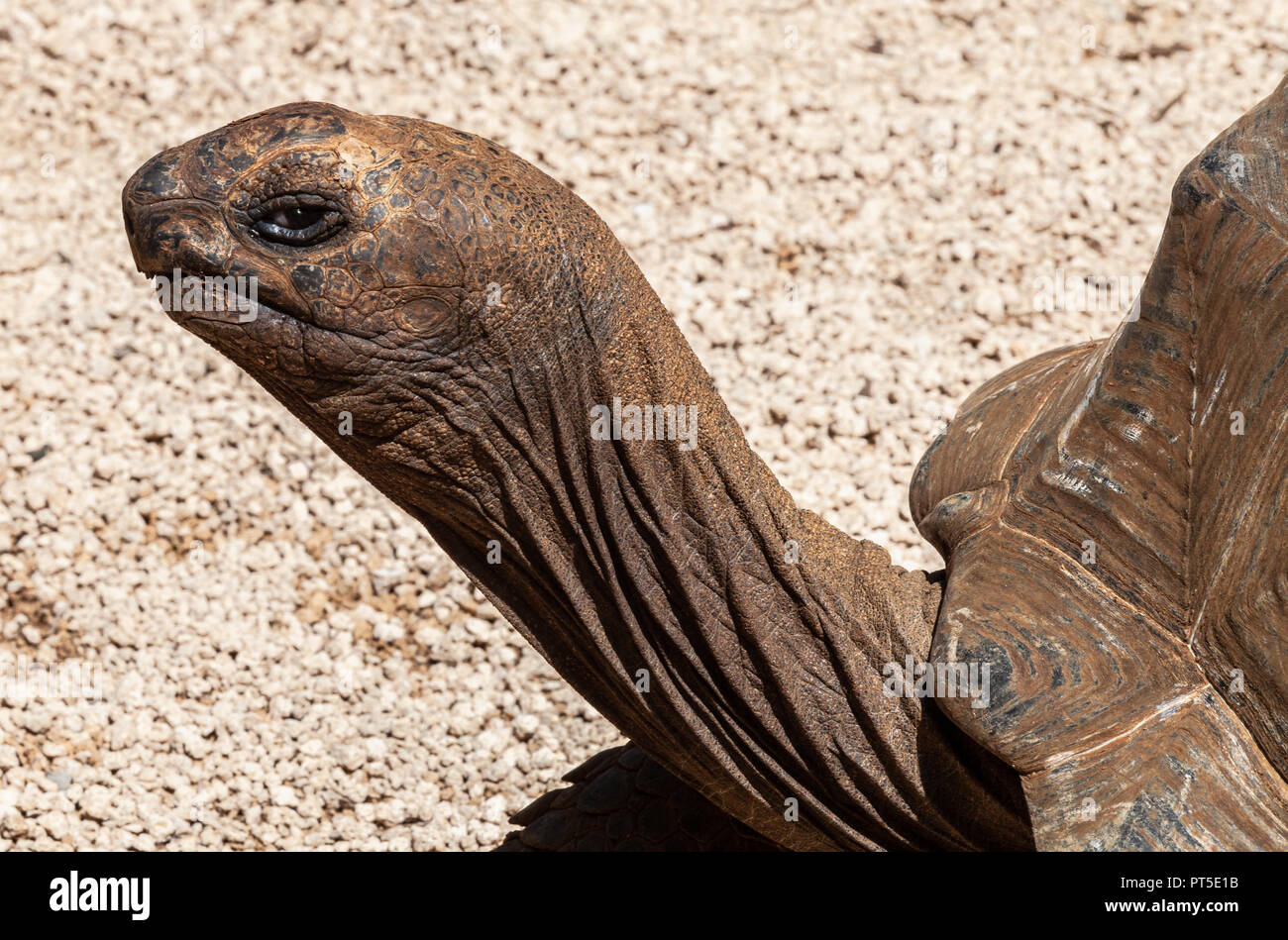 La Vanille Reptile park, Soillac, Mauritius Stock Photo - Alamy