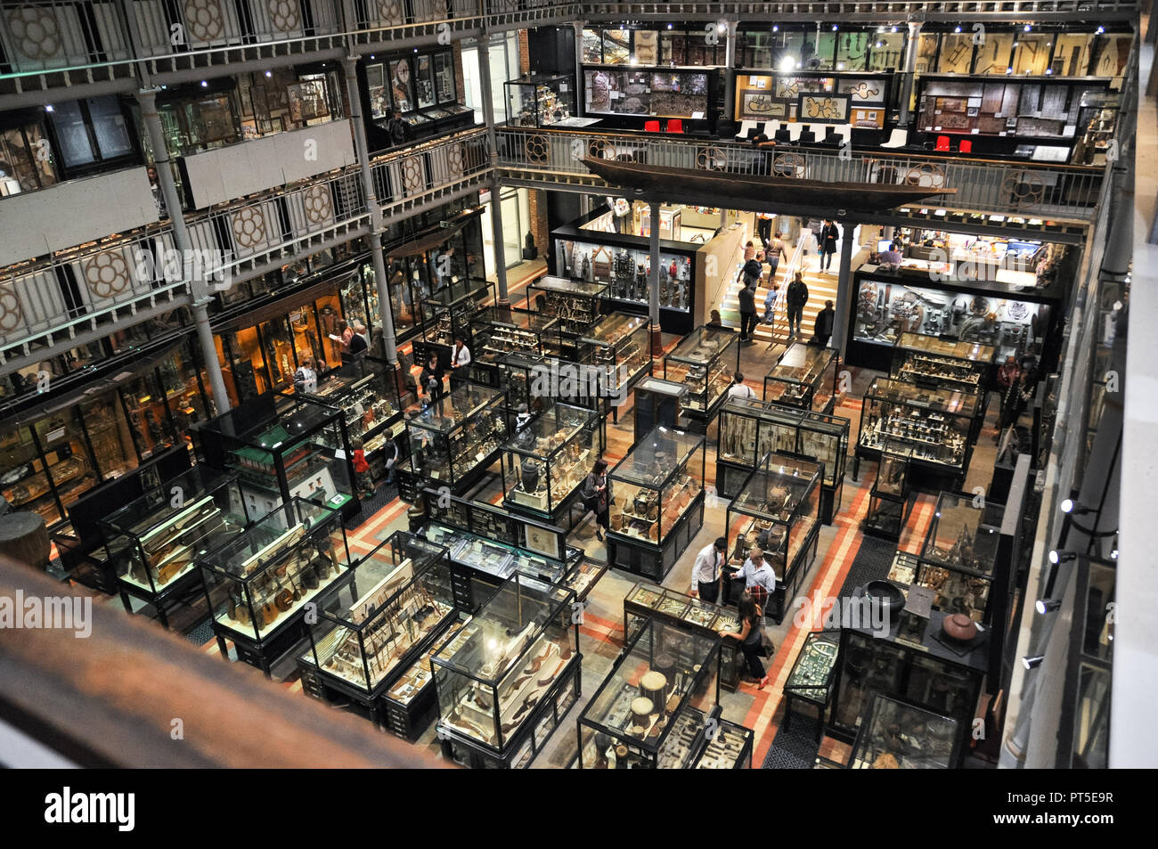 Pitt rivers hi-res stock photography and images - Alamy