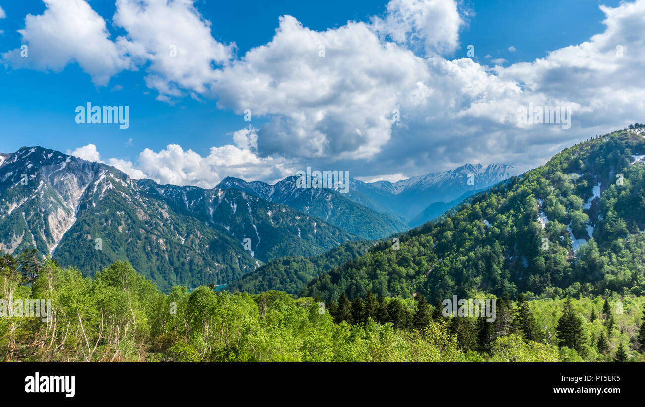 Beautiful view of outside for landscape snow wall and green tree from ...