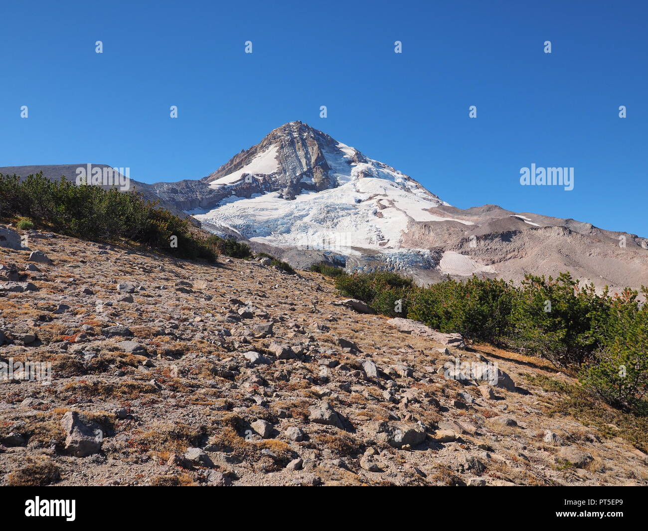The north face of Mount Hood and Eliot Glacier as seen from the ...
