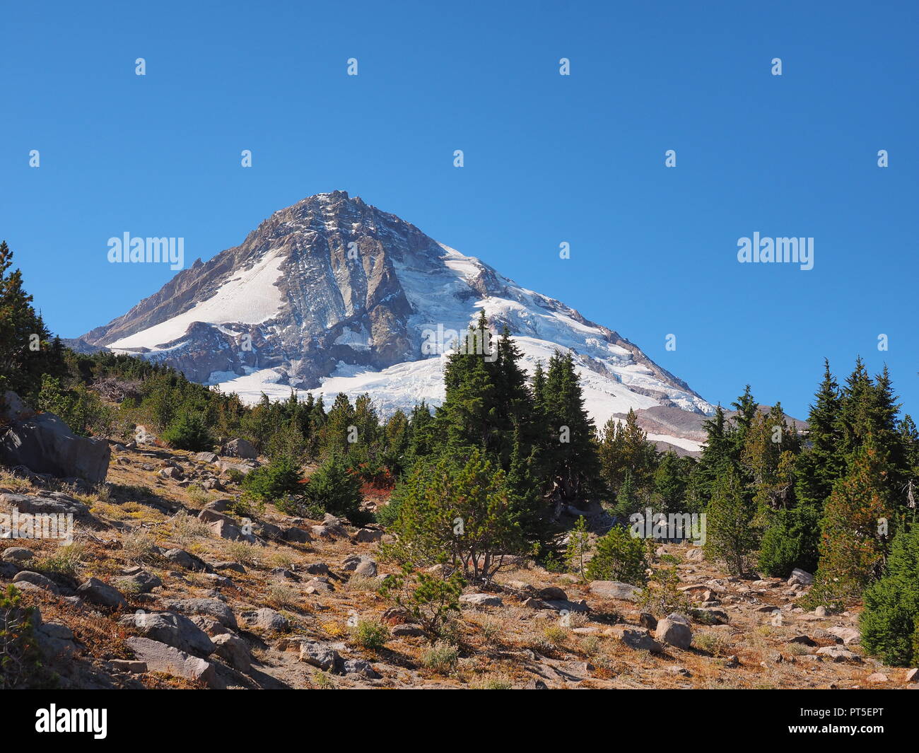 The north face of Mount Hood and Eliot Glacier as seen from the ...
