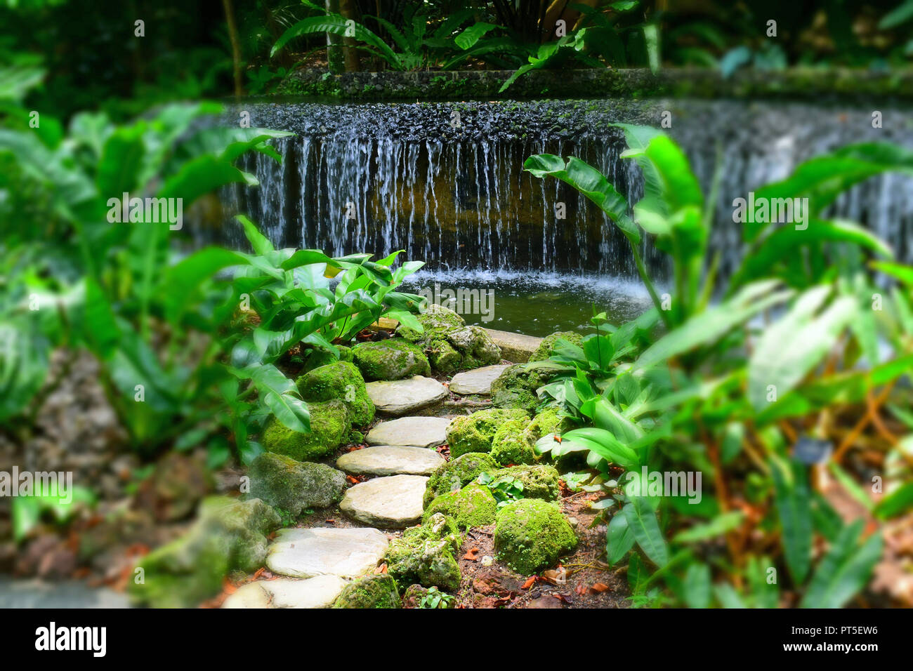 Meditation pathway hi-res stock photography and images - Alamy