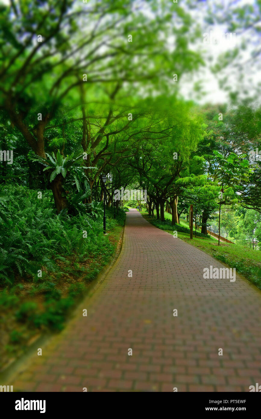 Follow the lines hi-res stock photography and images - Alamy