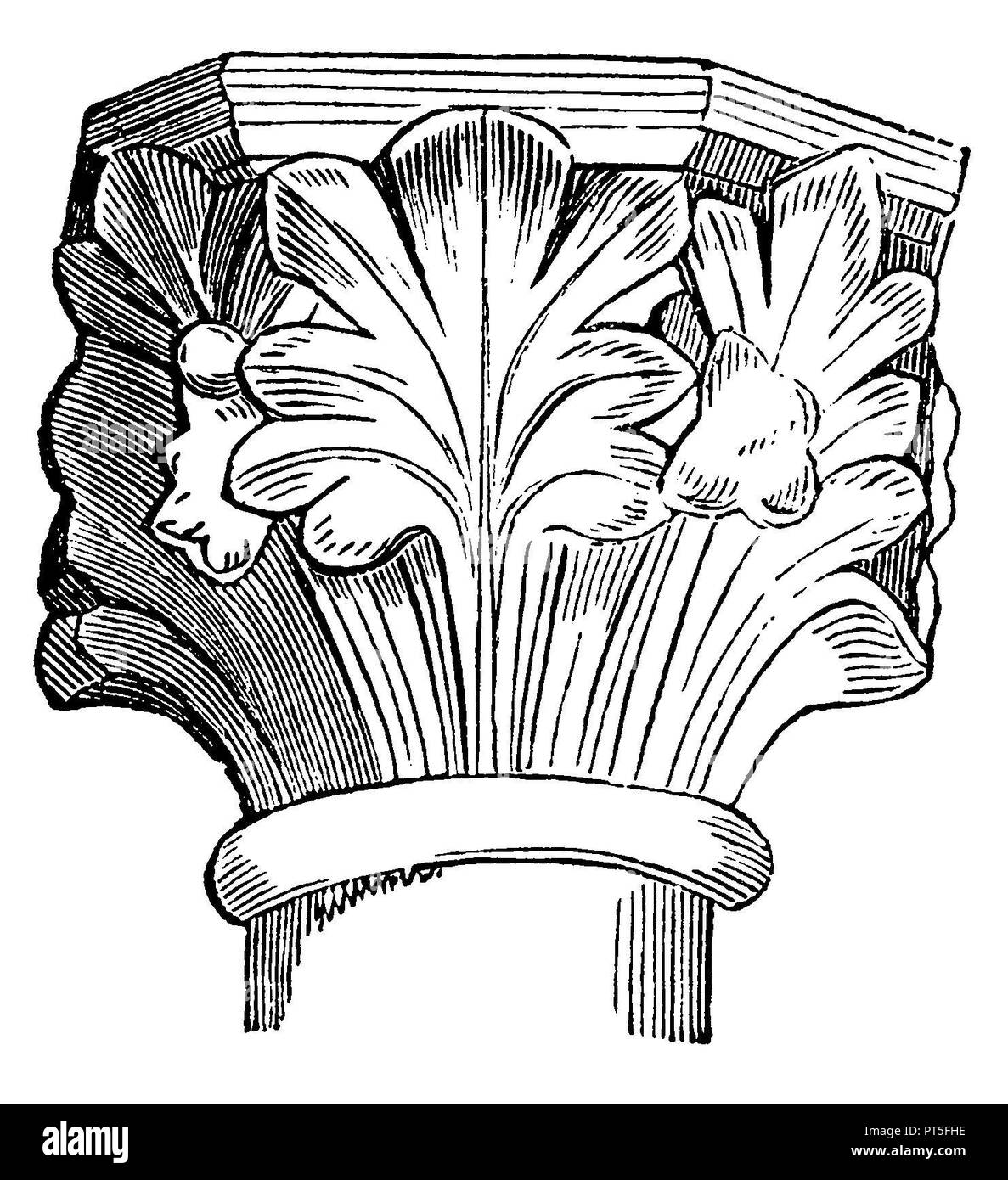 Capital with gothic leaf ornament, anonym 1896 Stock Photo - Alamy