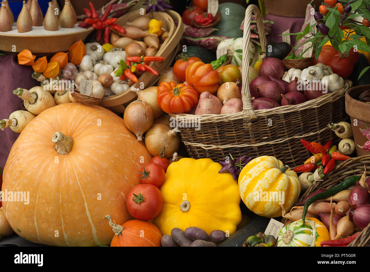 Vegetable boxes hi-res stock photography and images - Alamy