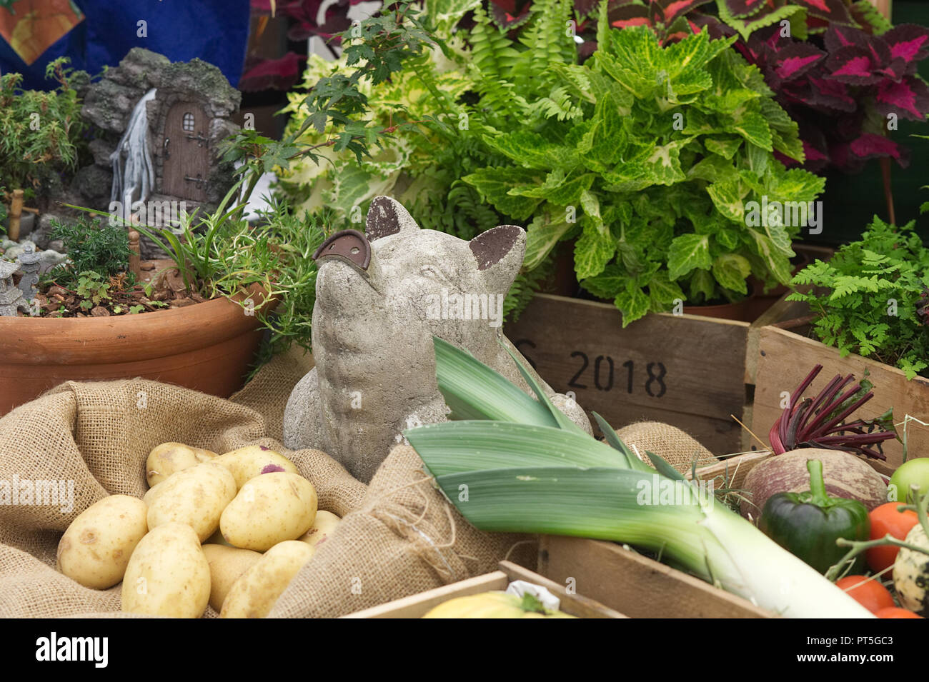 Vegetable boxes hi-res stock photography and images - Alamy