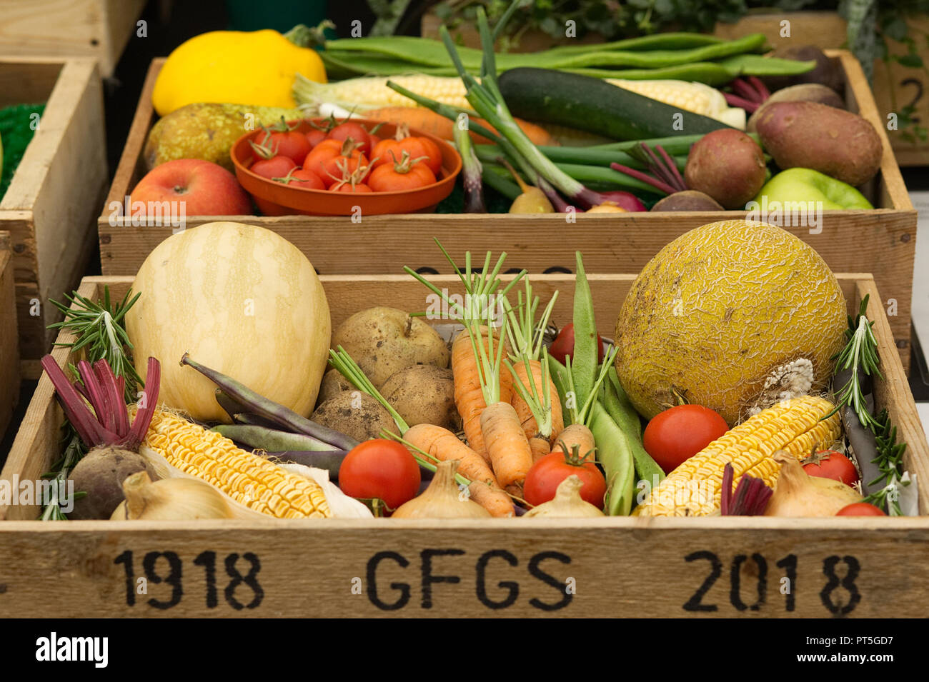 Harvested vegetable boxes hi-res stock photography and images - Alamy