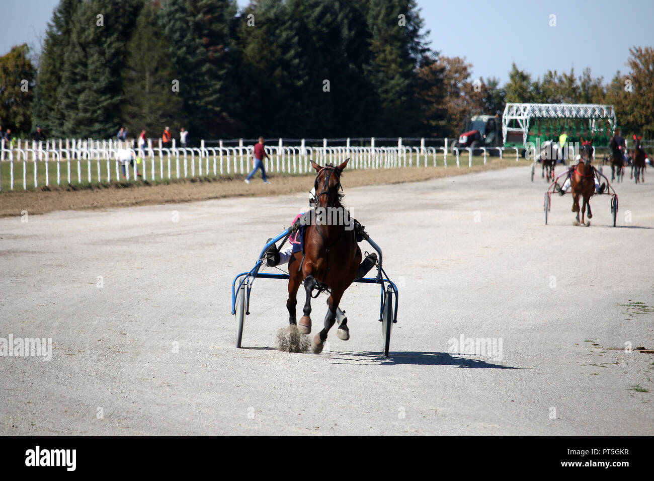 Jockey trotting hi-res stock photography and images - Alamy