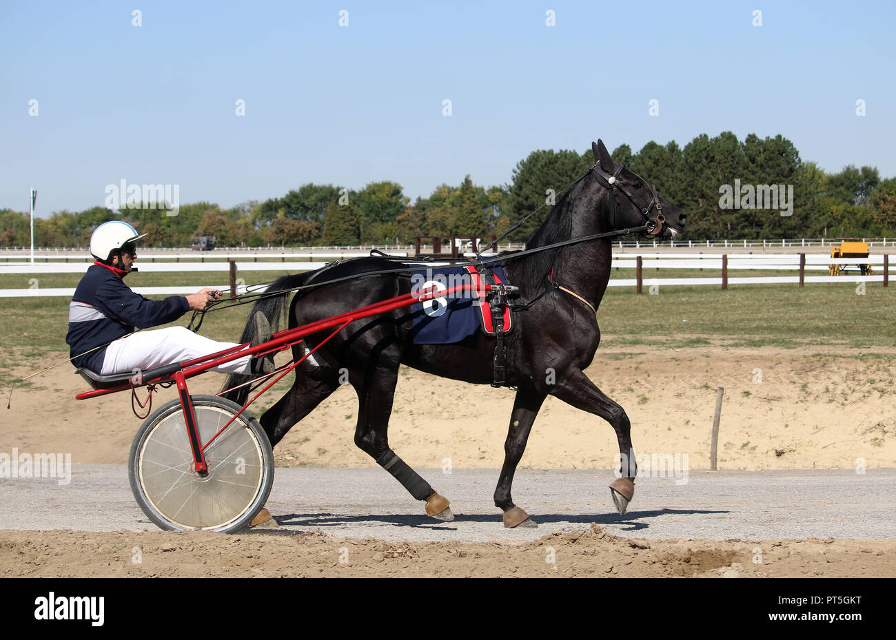 Sulky cart racing hi-res stock photography and images - Alamy