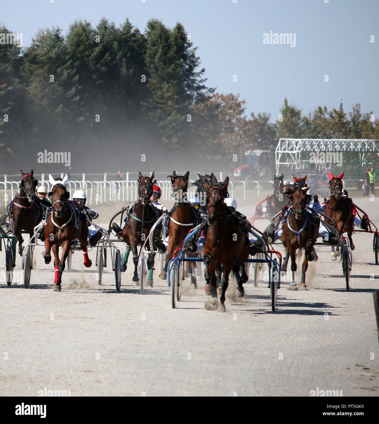 Trotting Race Harness Racing Track High Resolution Stock Photography ...