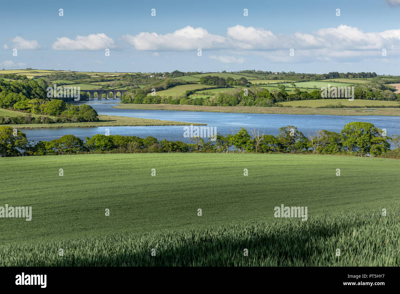 Spring View, Notter Viaduct, River Lynher, Cornwall Stock Photo - Alamy