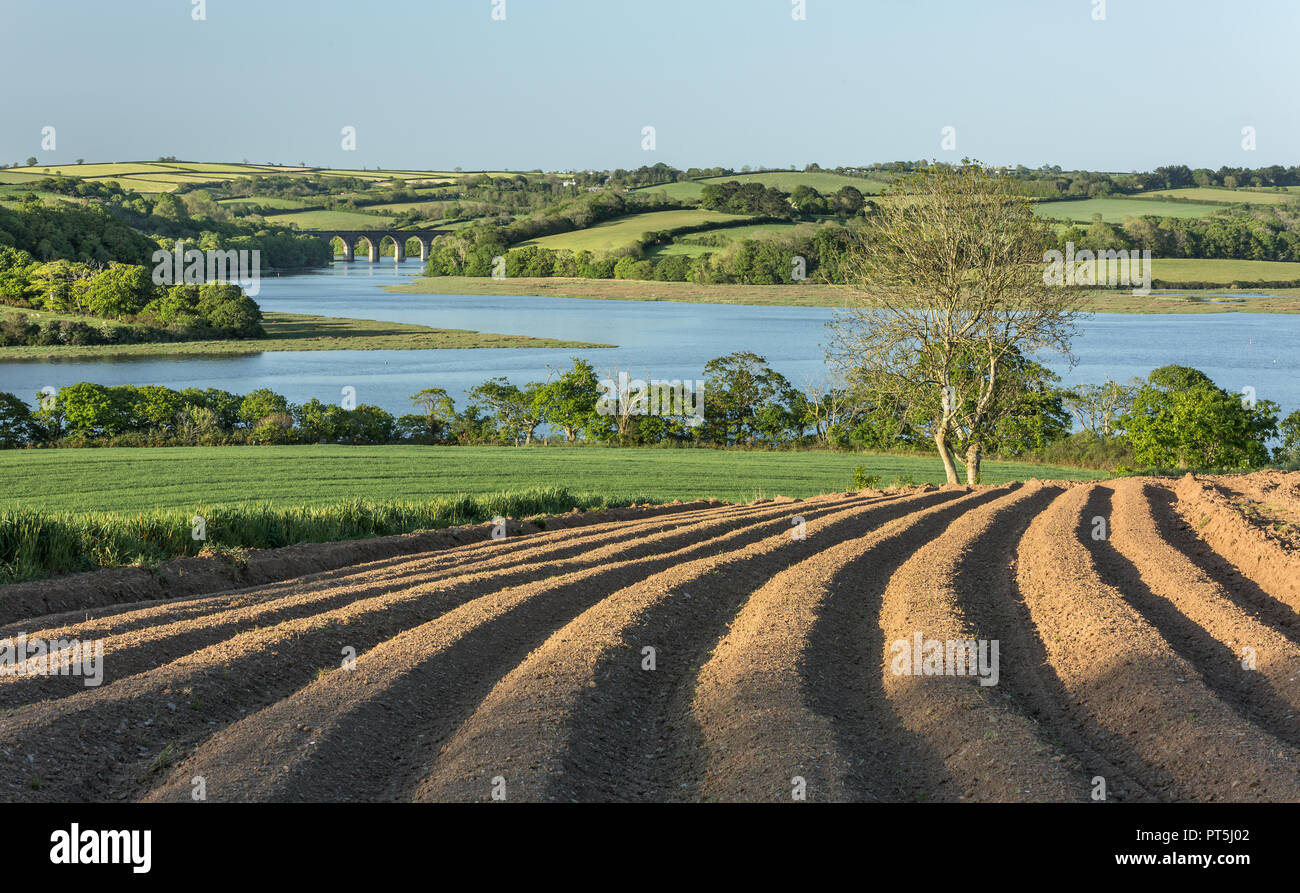 Cornish natural spring water hi-res stock photography and images - Alamy