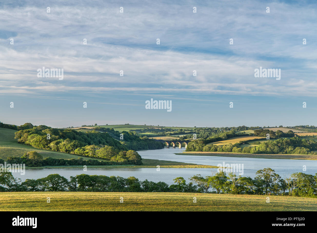 Early Light, Notter Viaduct, River Lynher, Cornwall Stock Photo - Alamy