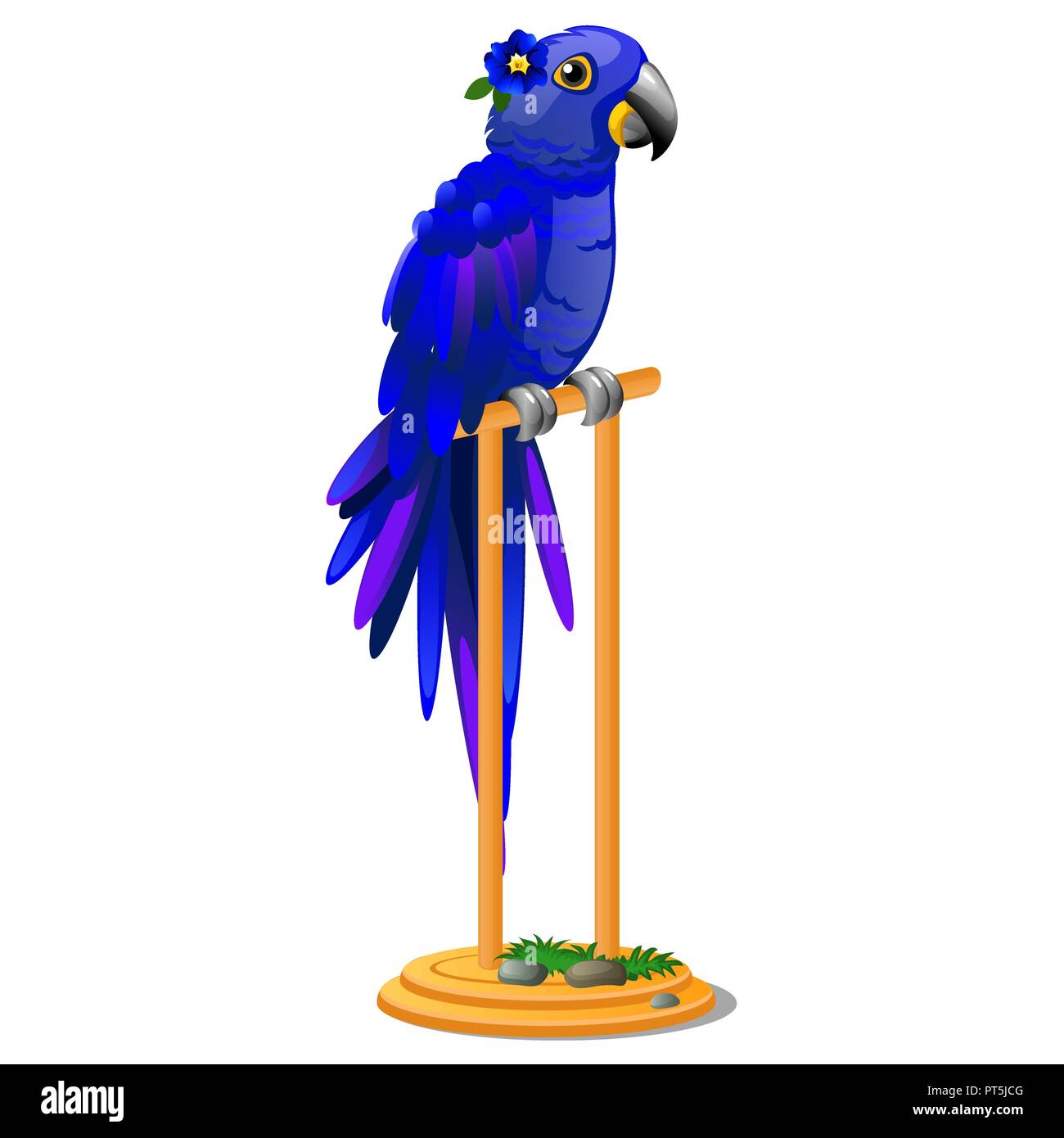 Beautiful bird blue parrot sitting on a wooden perch isolated on white ...