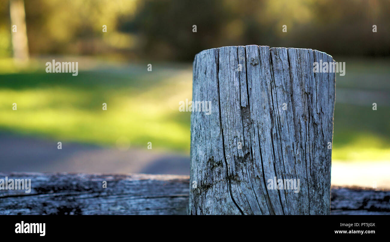 Close up view of chopped log used as fence Stock Photo - Alamy