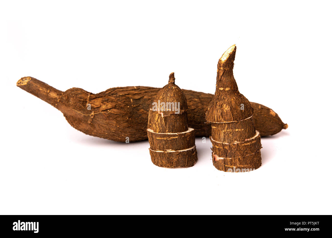 Tapioca root hi-res stock photography and images - Alamy