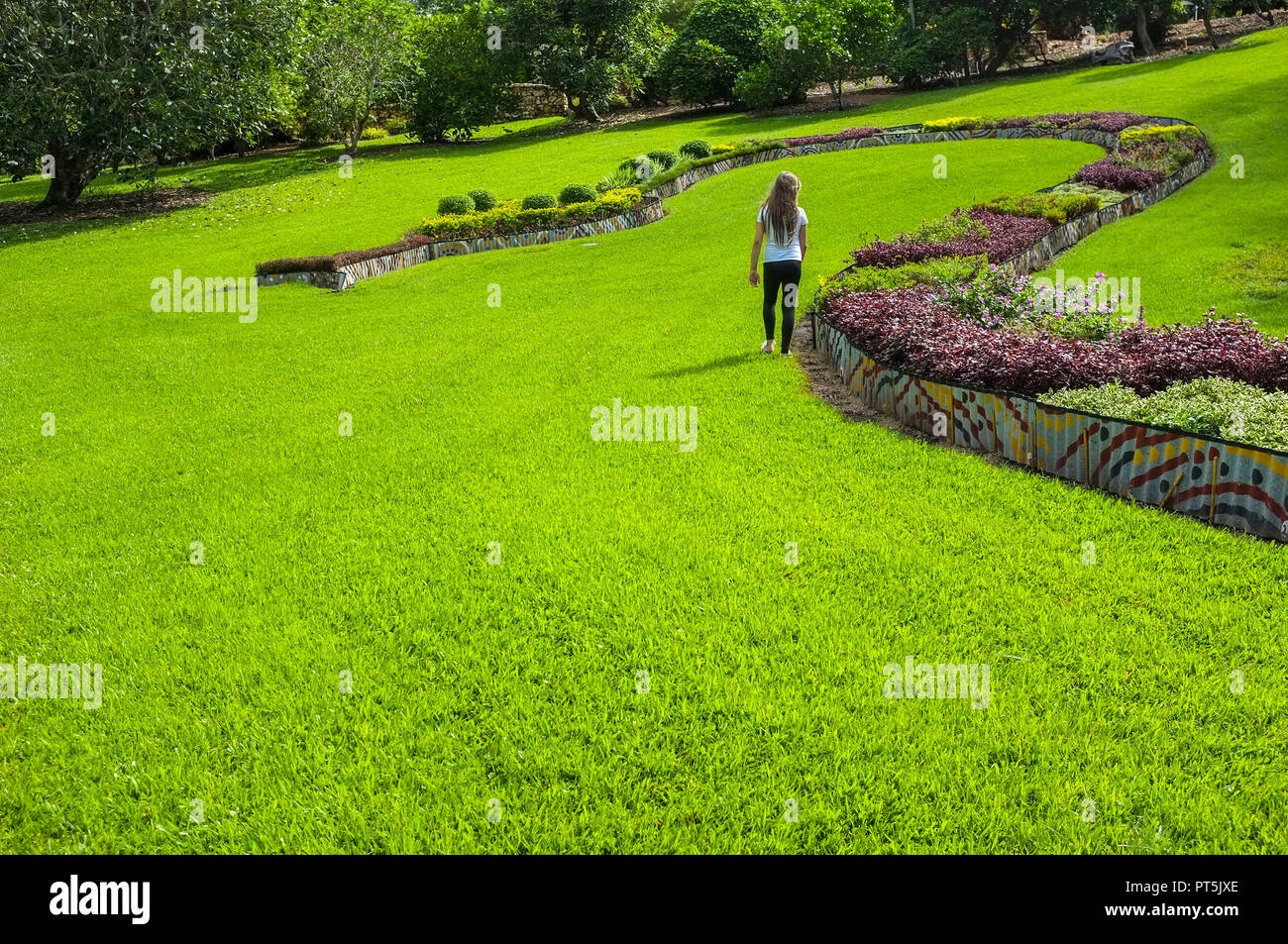 Darwin botanic gardens australia hi-res stock photography and images ...
