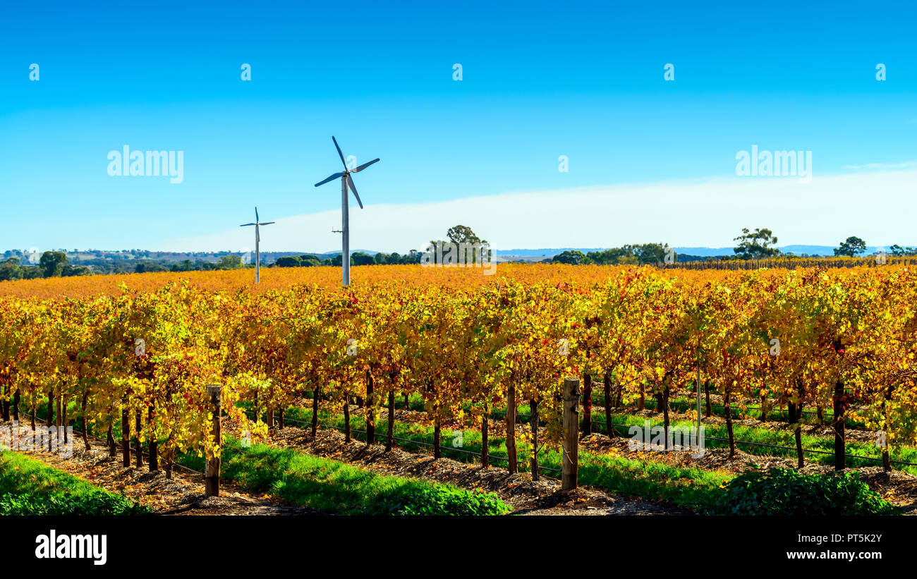 Sustainable winery hi-res stock photography and images - Alamy
