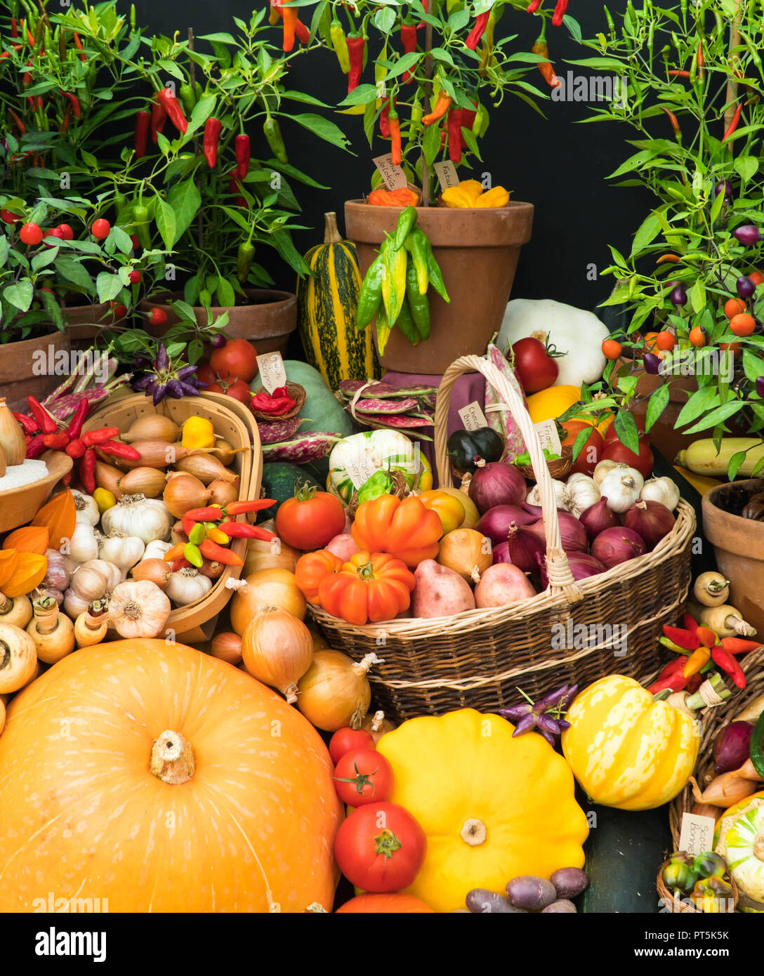 Fruit and vegetable display Malvern Autumn Show, September 2018 Stock ...