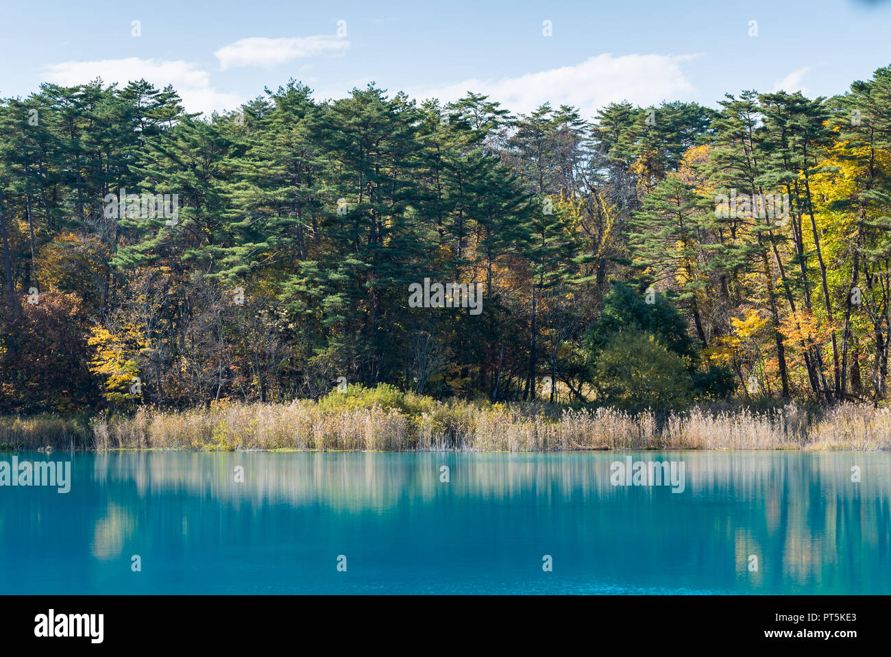 Goshiki numa hi-res stock photography and images - Alamy