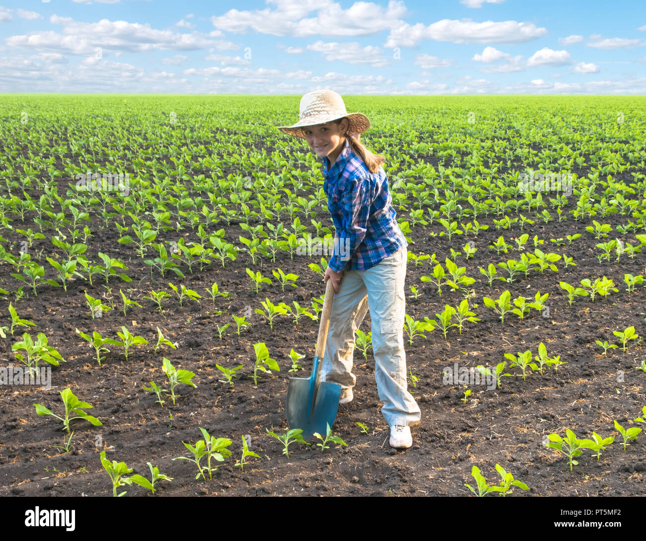 Farmer cultivate field hi-res stock photography and images - Alamy