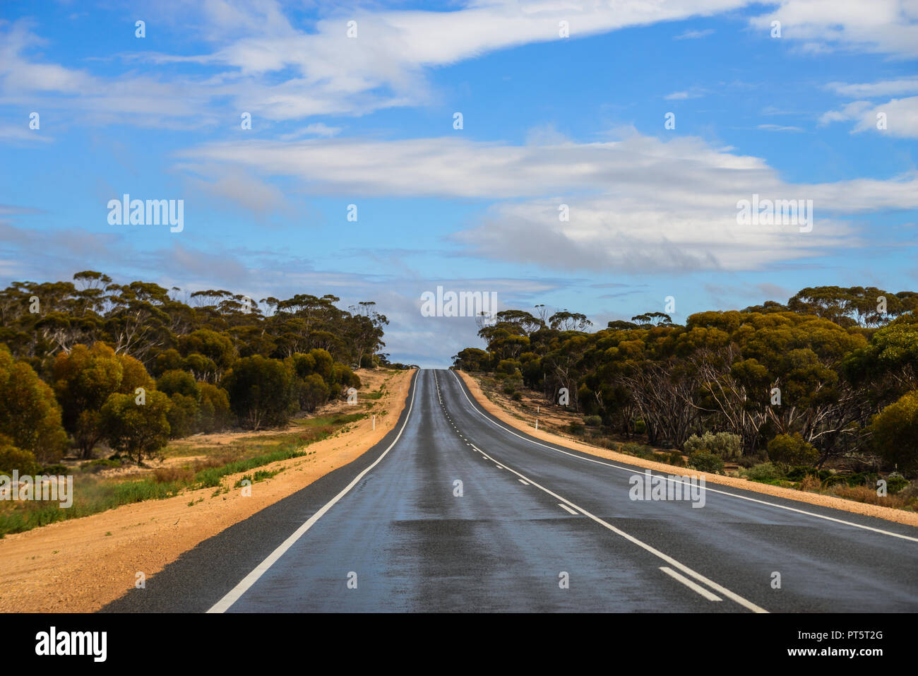 90 Mile Straight, Australias longest straight road, Western Australia ...