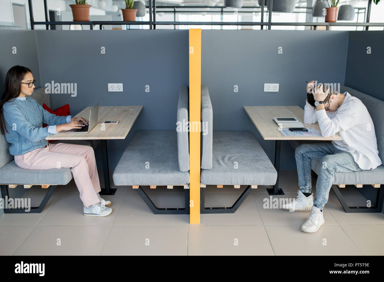 Upset frustrated male freelancer being puzzled holding head in hands ...