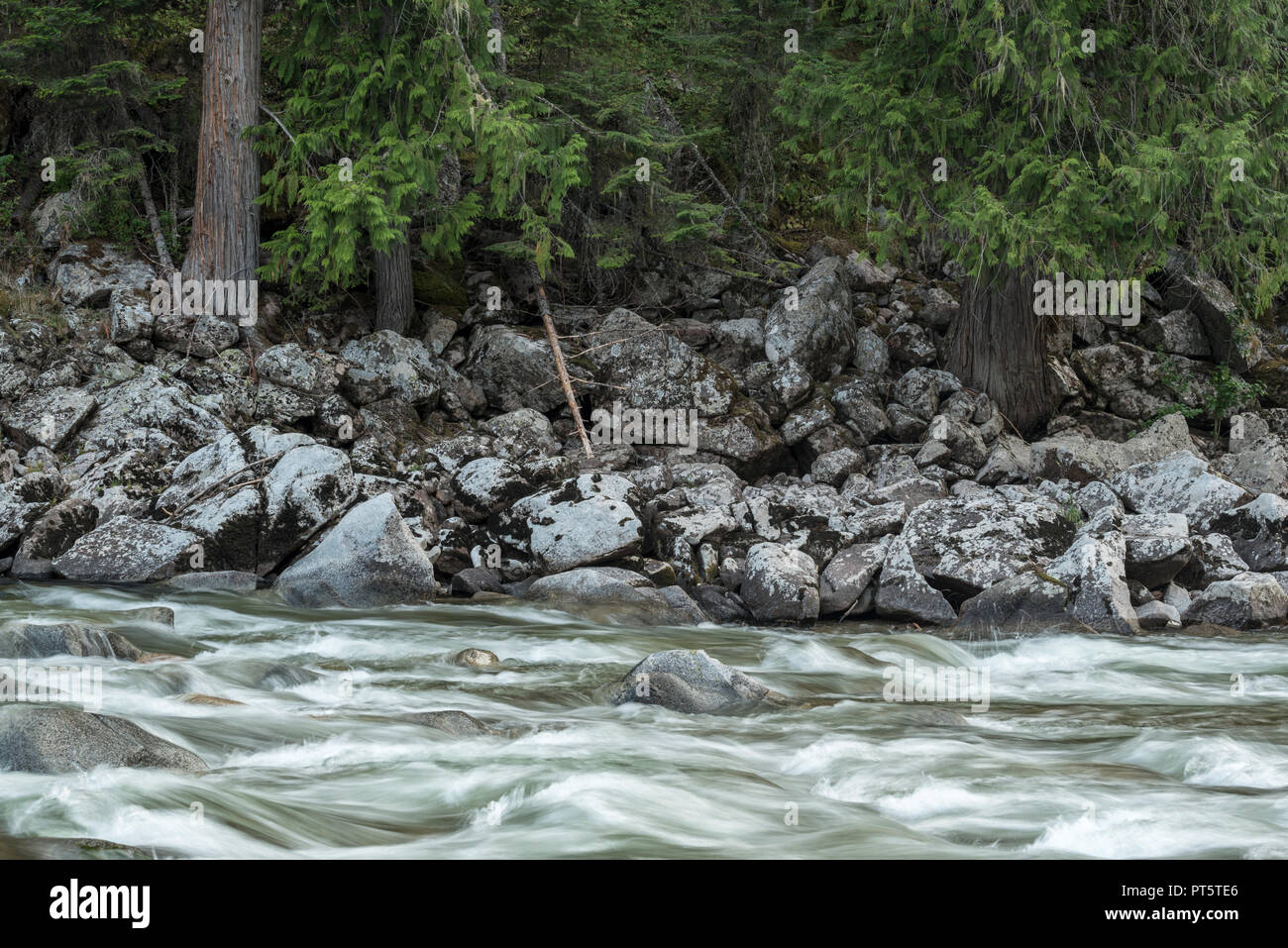 Selway hi-res stock photography and images - Alamy