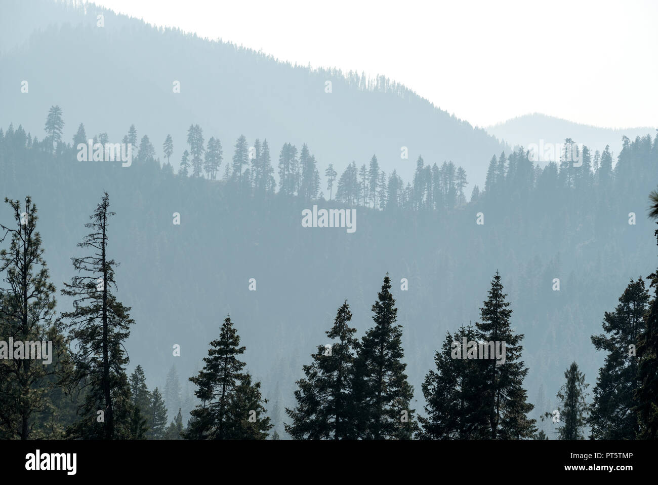 Ridges and forest fire smoke, Selway-Bitterroot Wilderness Area, Idaho ...