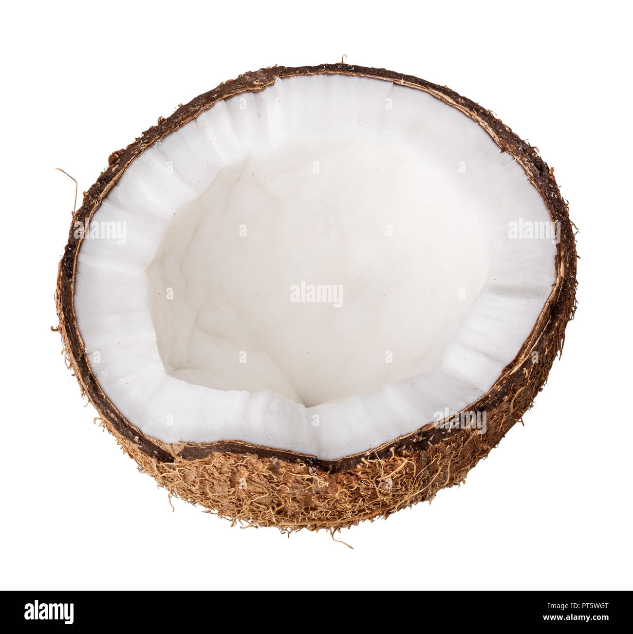 Coconut isolated on white background Stock Photo - Alamy