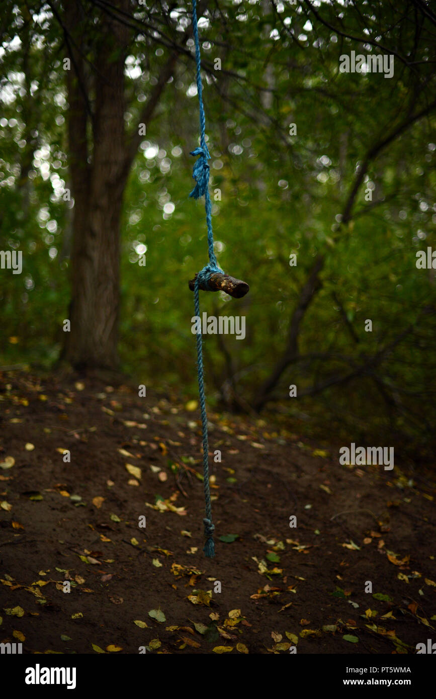 Tied tree trunk hi-res stock photography and images - Alamy
