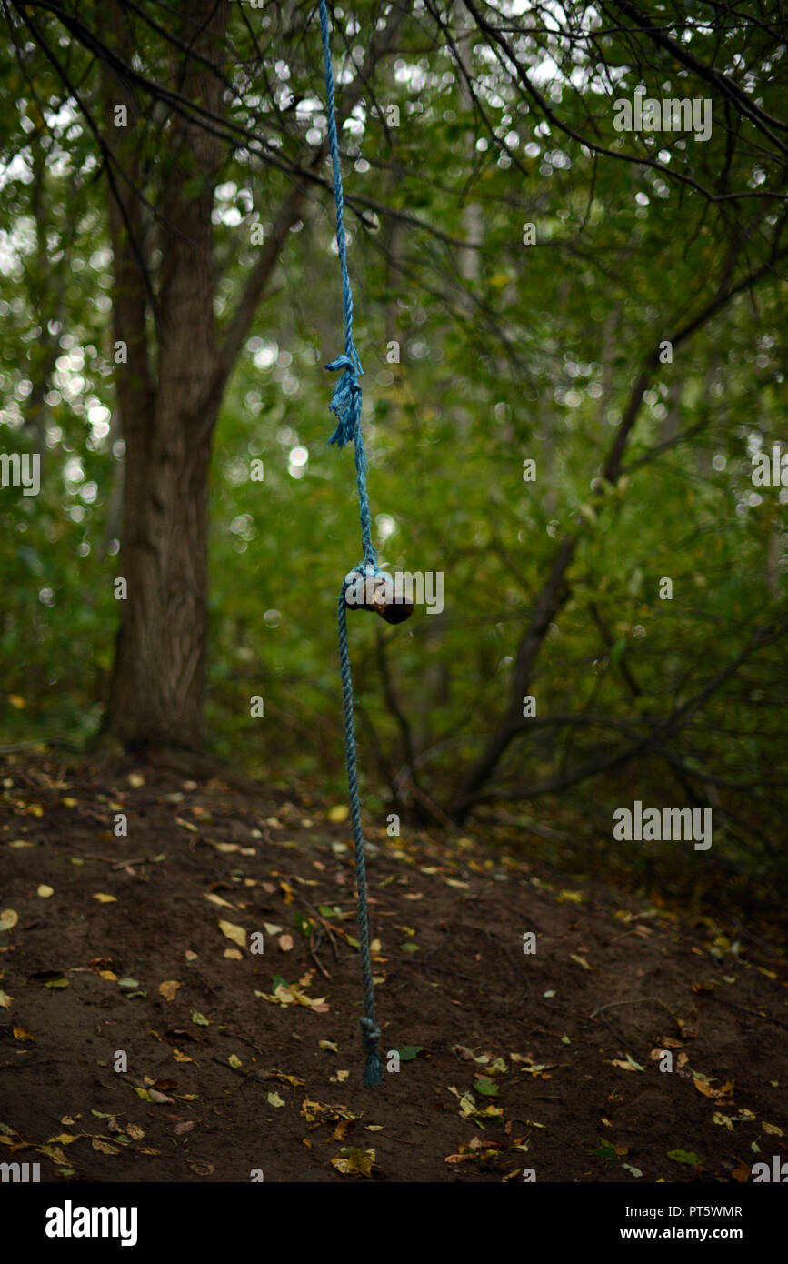 Rope Hanging From Tree High Resolution Stock Photography and Images - Alamy