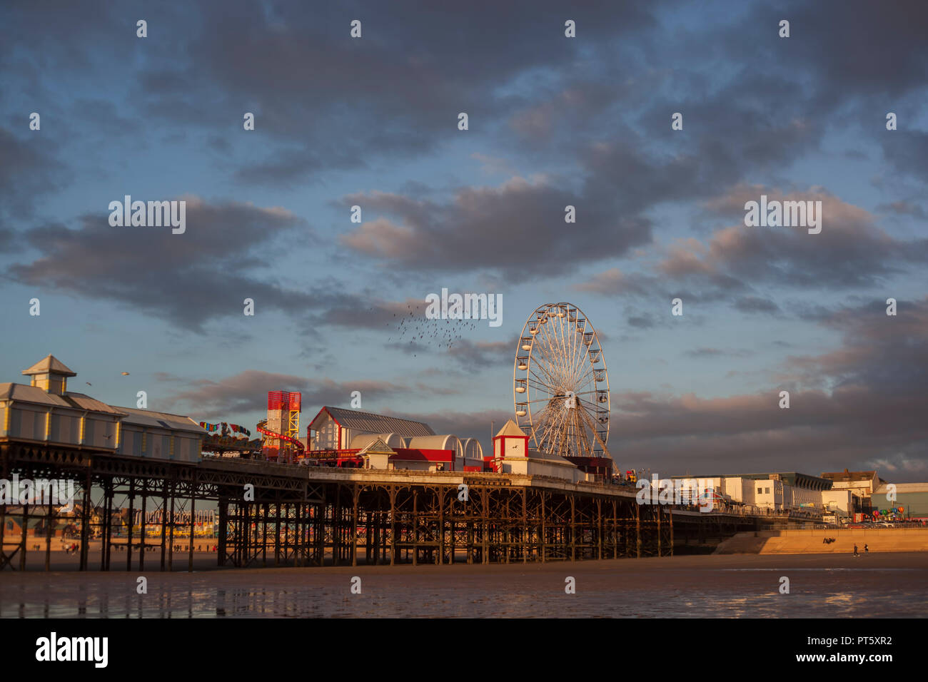 Golden sunset on the pier in Blackpool with the tower,wheel & Promenade ...