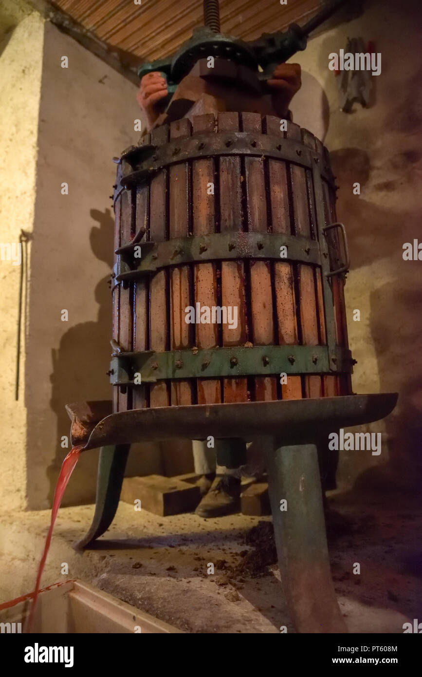 Winemaking. Old wooden wine press with must inside. Pressing of grapes ...
