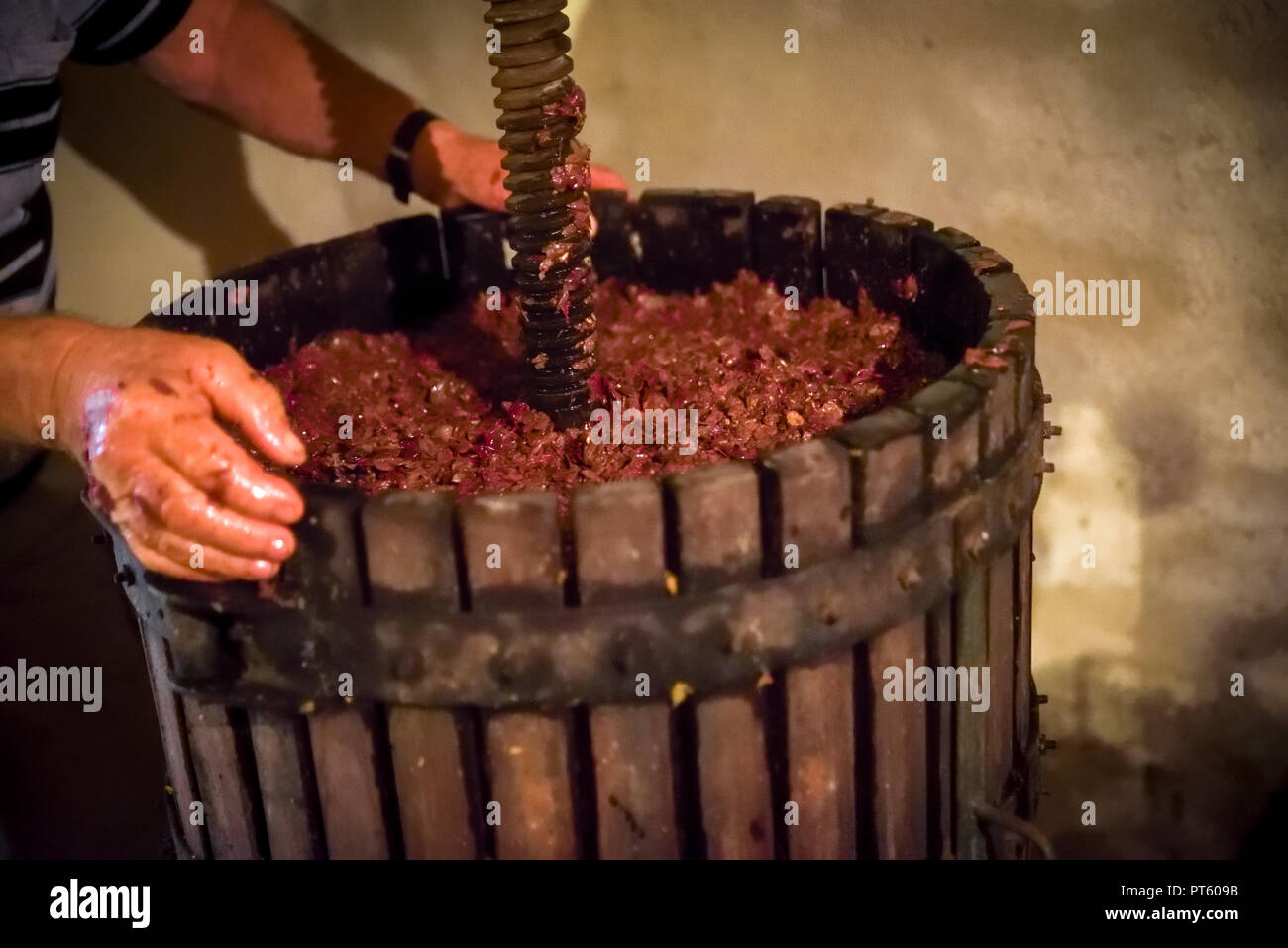 Grape must fermentation squeezing hi-res stock photography and images ...