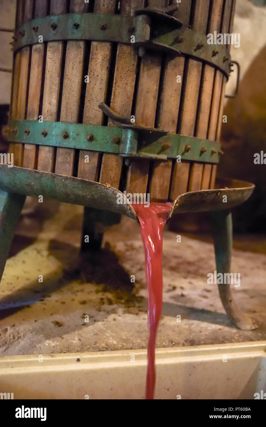 Winemaking. Old wooden wine press with must inside. Pressing of grapes ...