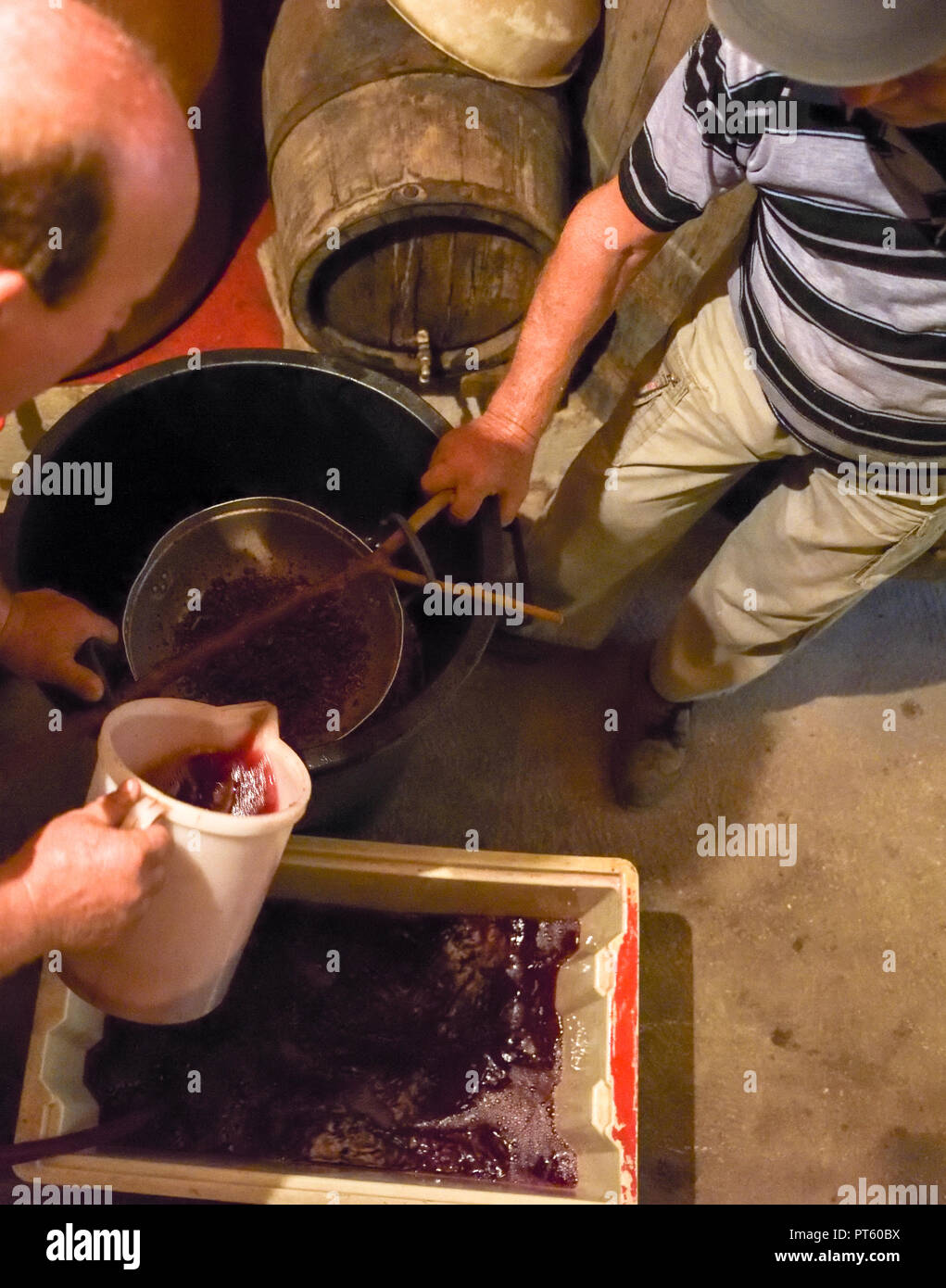 Grape must fermentation squeezing hi-res stock photography and images ...