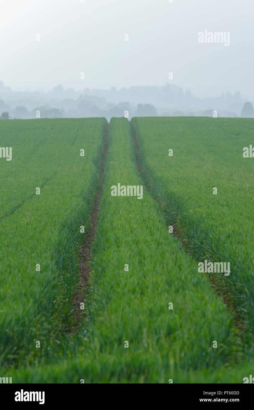 English countryside scene hi-res stock photography and images - Alamy