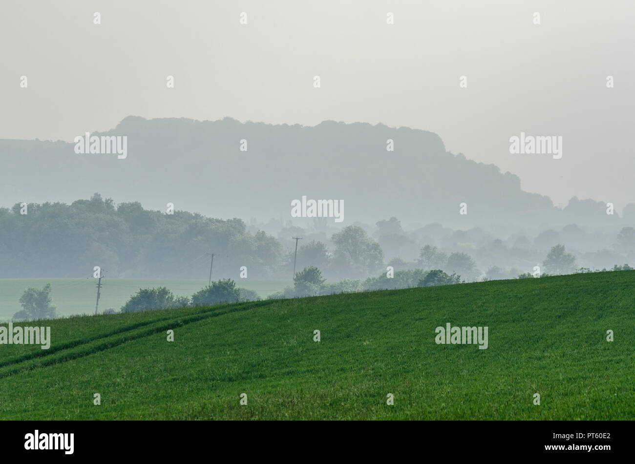 Misty weather over a typical English countryside scene with green ...
