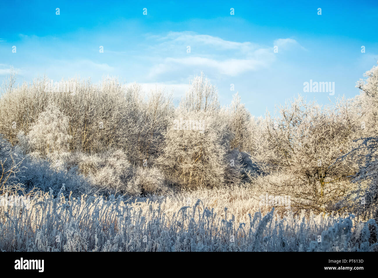 Frosty and sunny scotland hi-res stock photography and images - Alamy