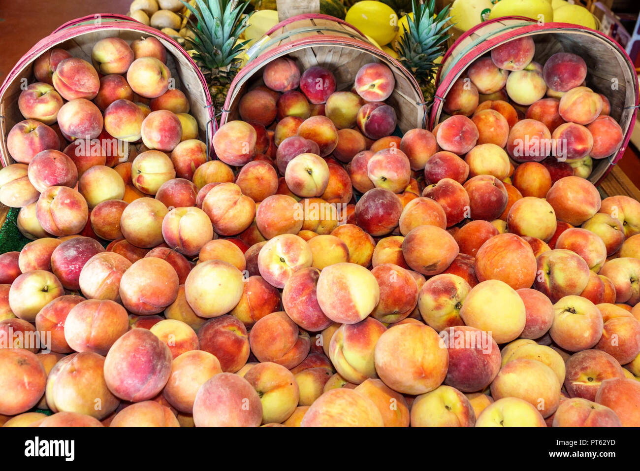 Sarasota florida pinecraft amish hi-res stock photography and images ...