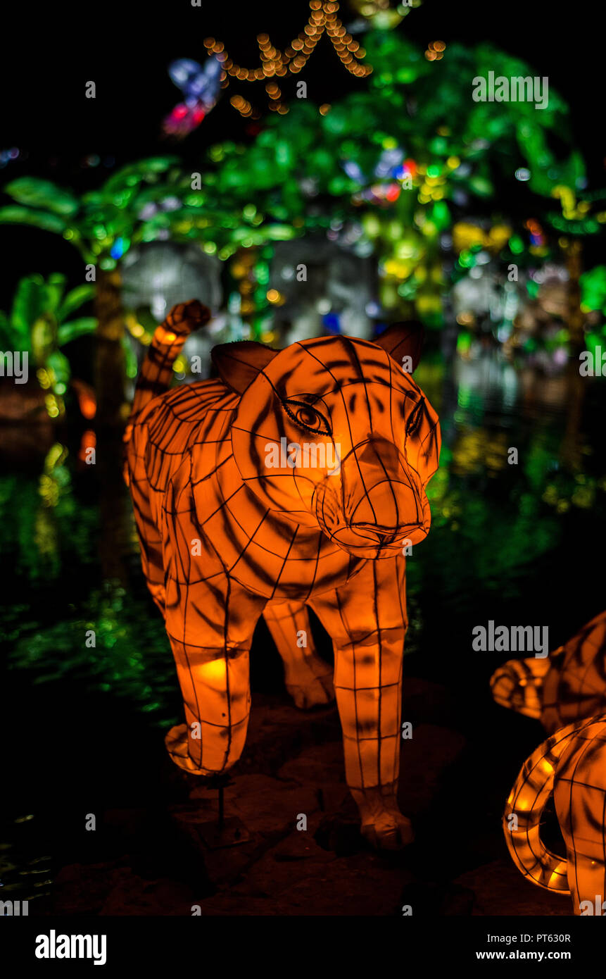 Tiger lantern montreal chinese lantern hi-res stock photography and ...