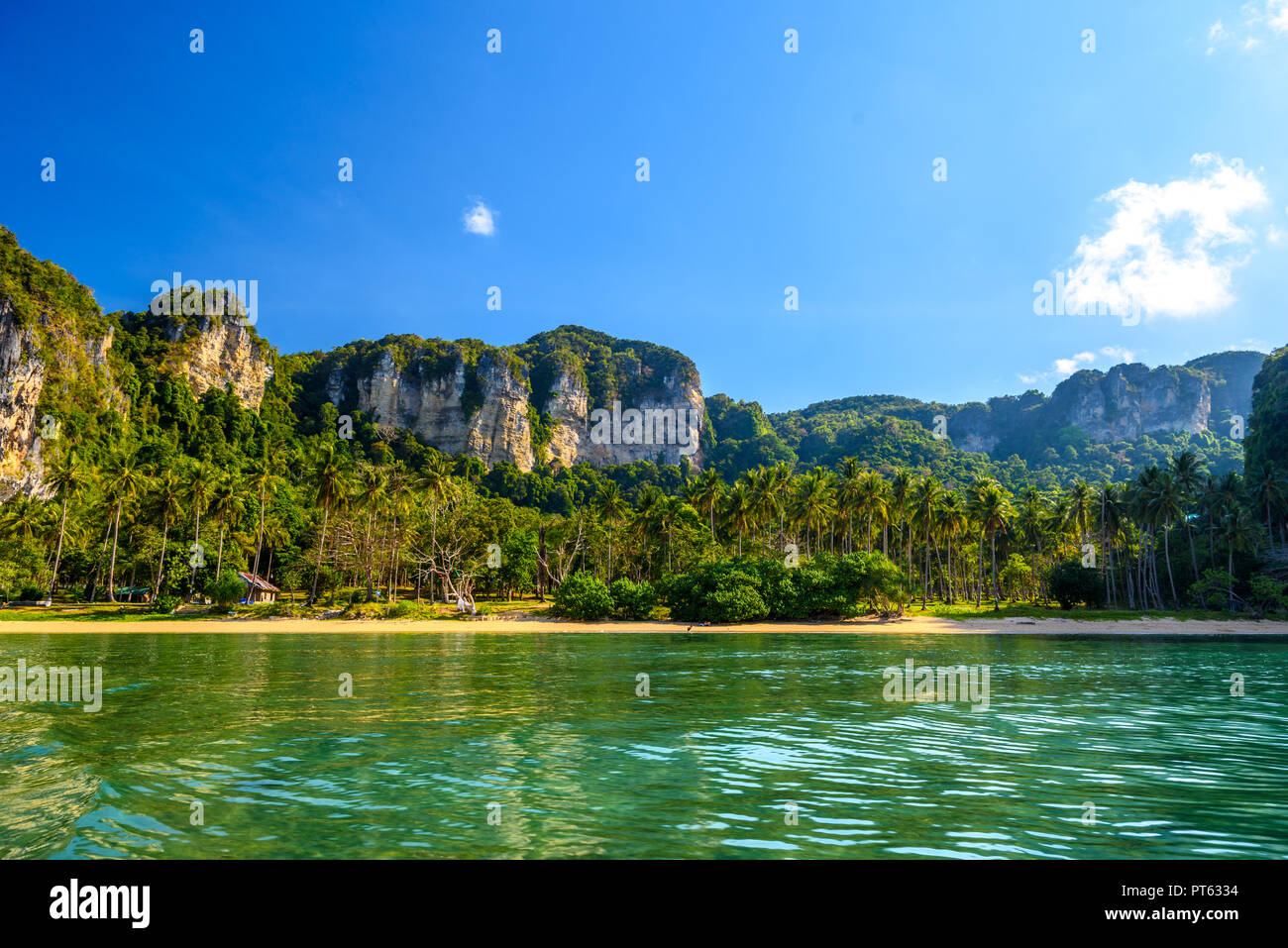 Coconut palms and rocks near the water, Tonsai Bay, Railay Beach, Ao ...
